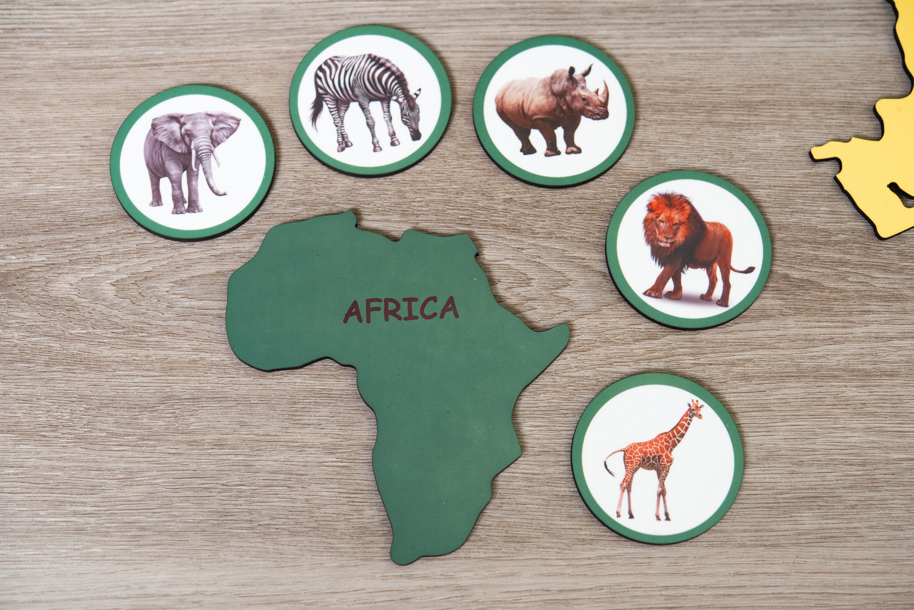 Montessori Geography Work Realistic Animal Photos Montessori Map Color ...