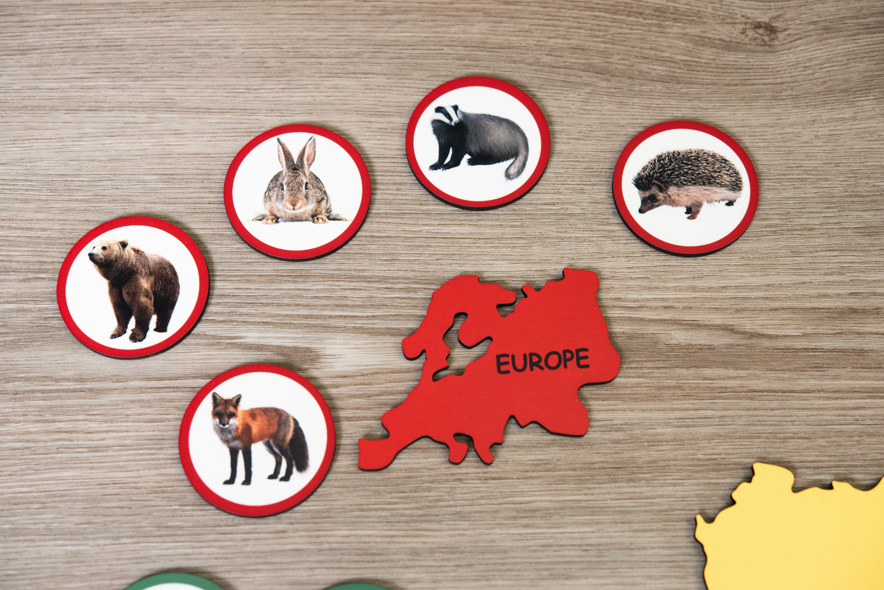 Montessori Geography Work Realistic Animal Photos Montessori Map Color ...
