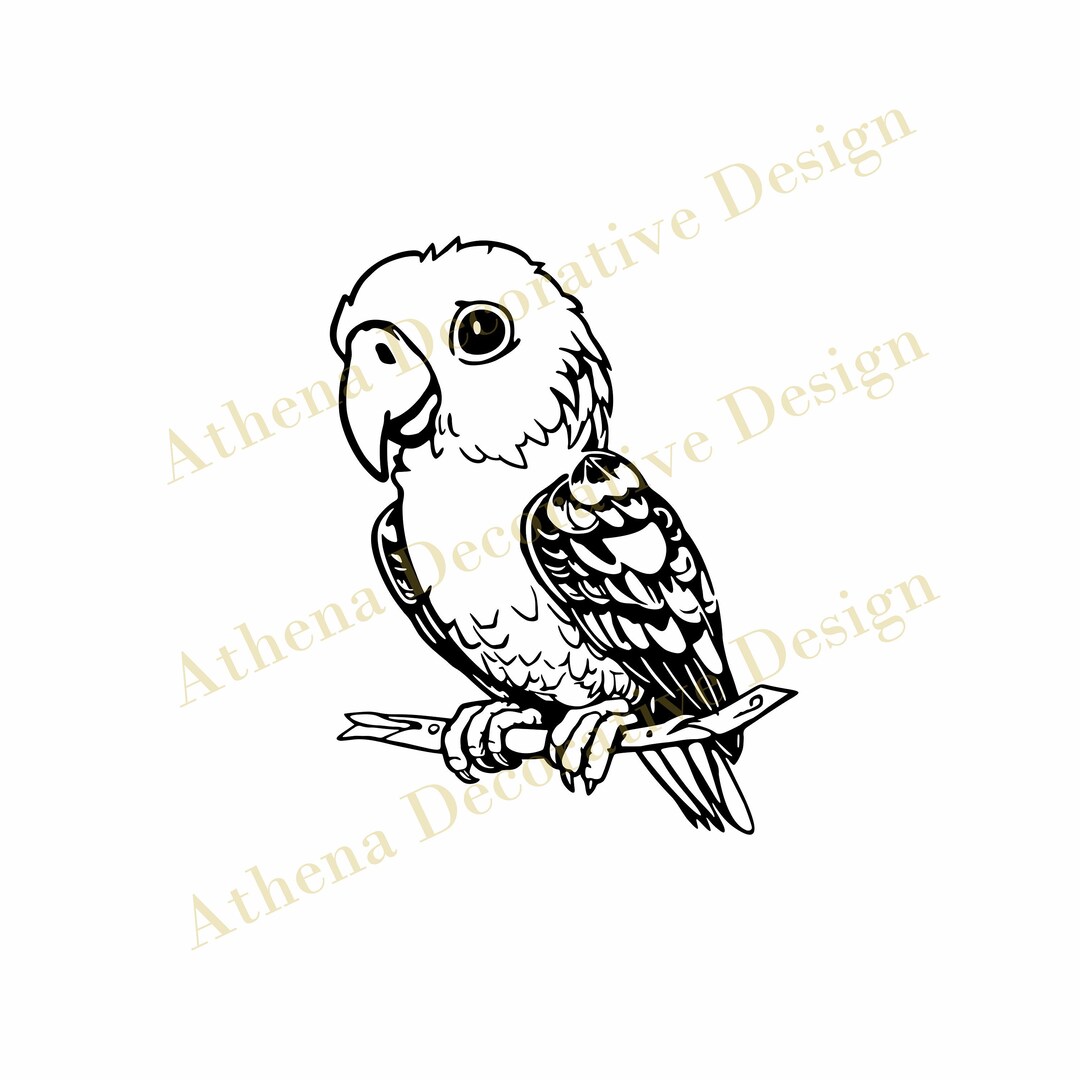 Parrot Clipart Digital Drawing, SVG File, Bird Vector Drawing - Etsy UK
