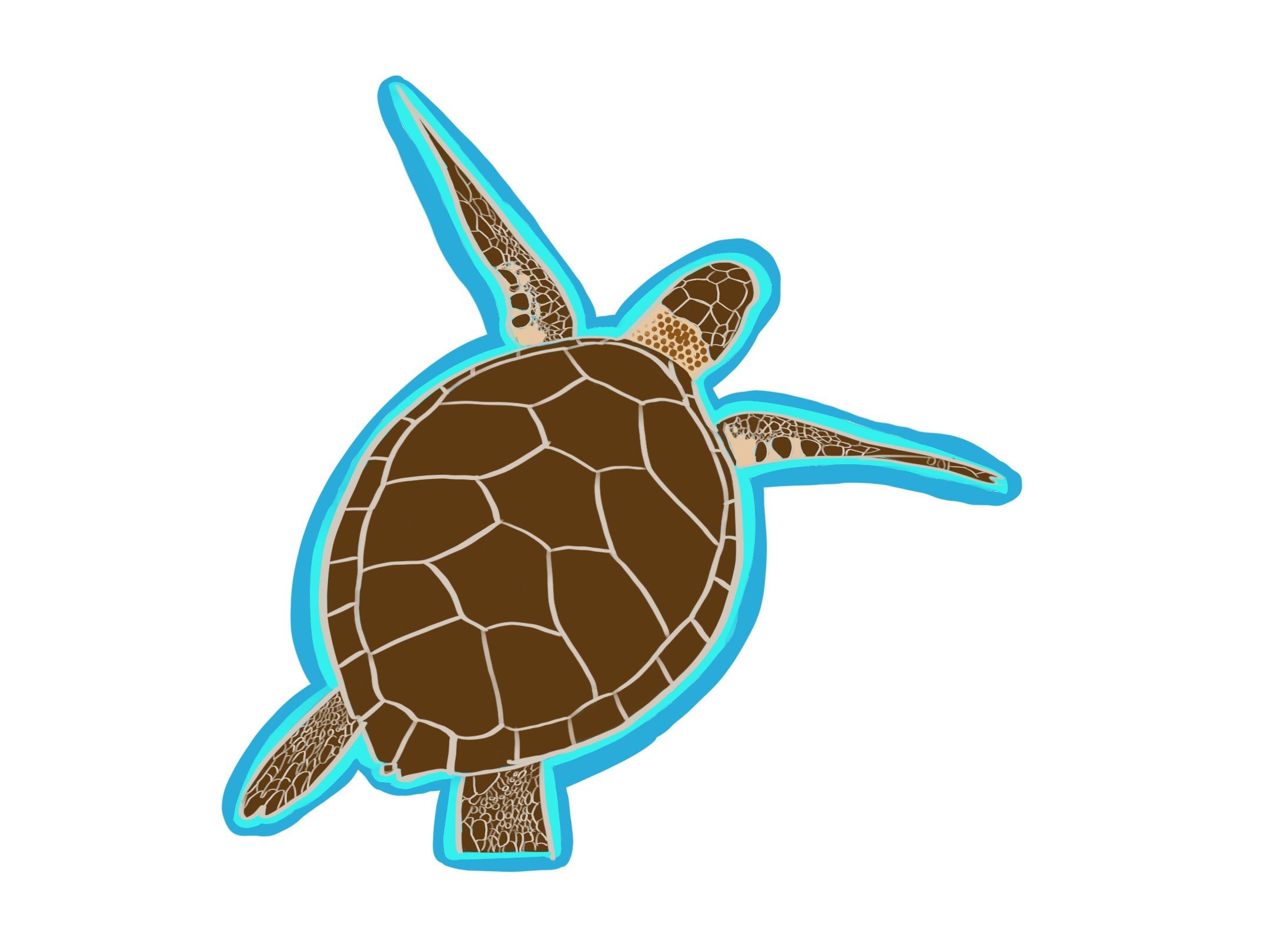 Sea Turtle Vinyl Sticker// Sea Creatures Vinyl Art | Etsy