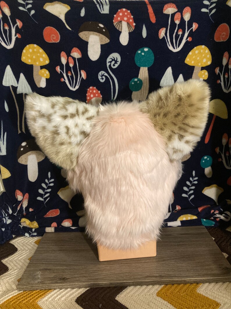 Kitty Cat Partial - Etsy