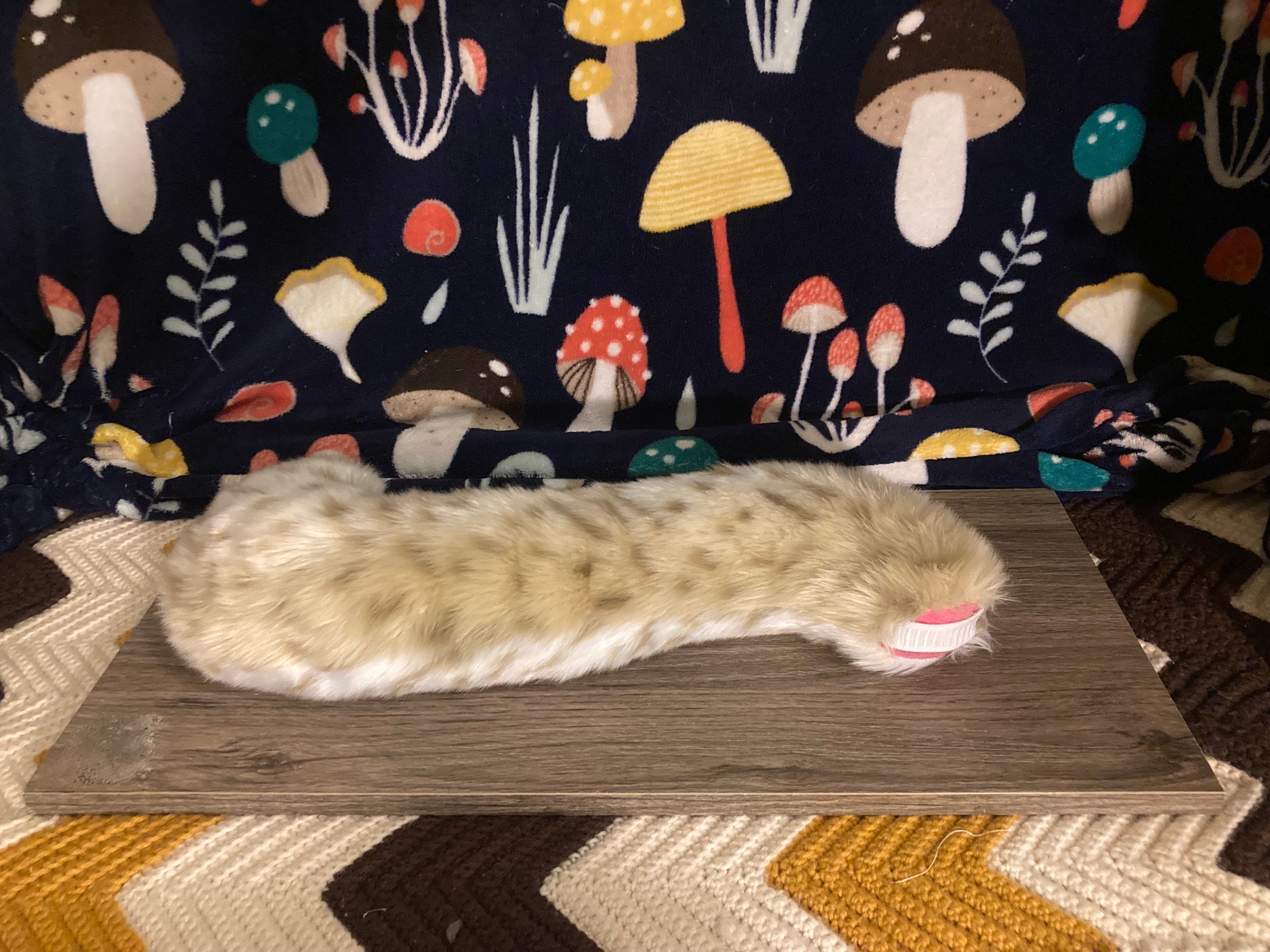 Kitty Cat Partial - Etsy