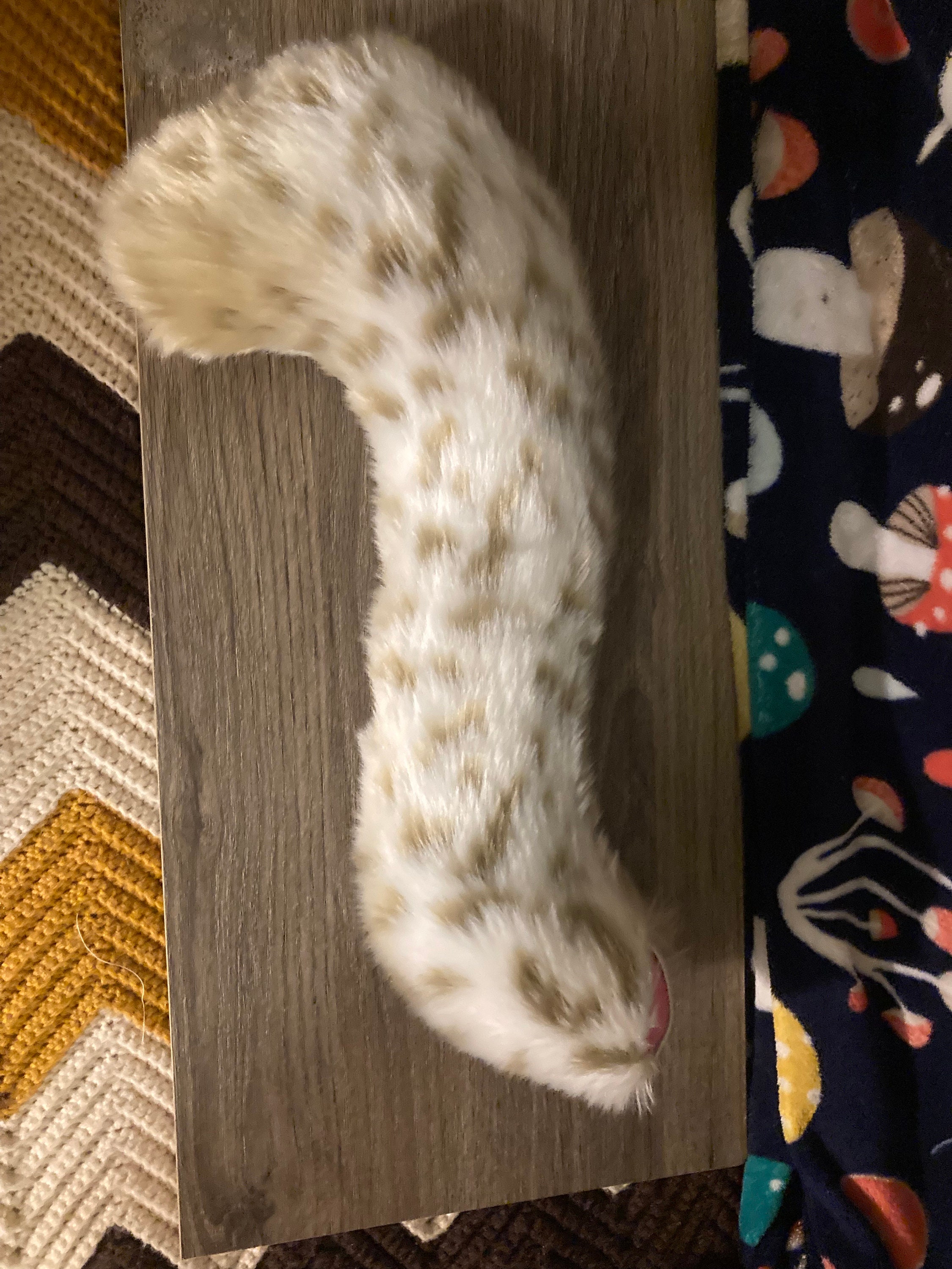 Kitty Cat Partial - Etsy