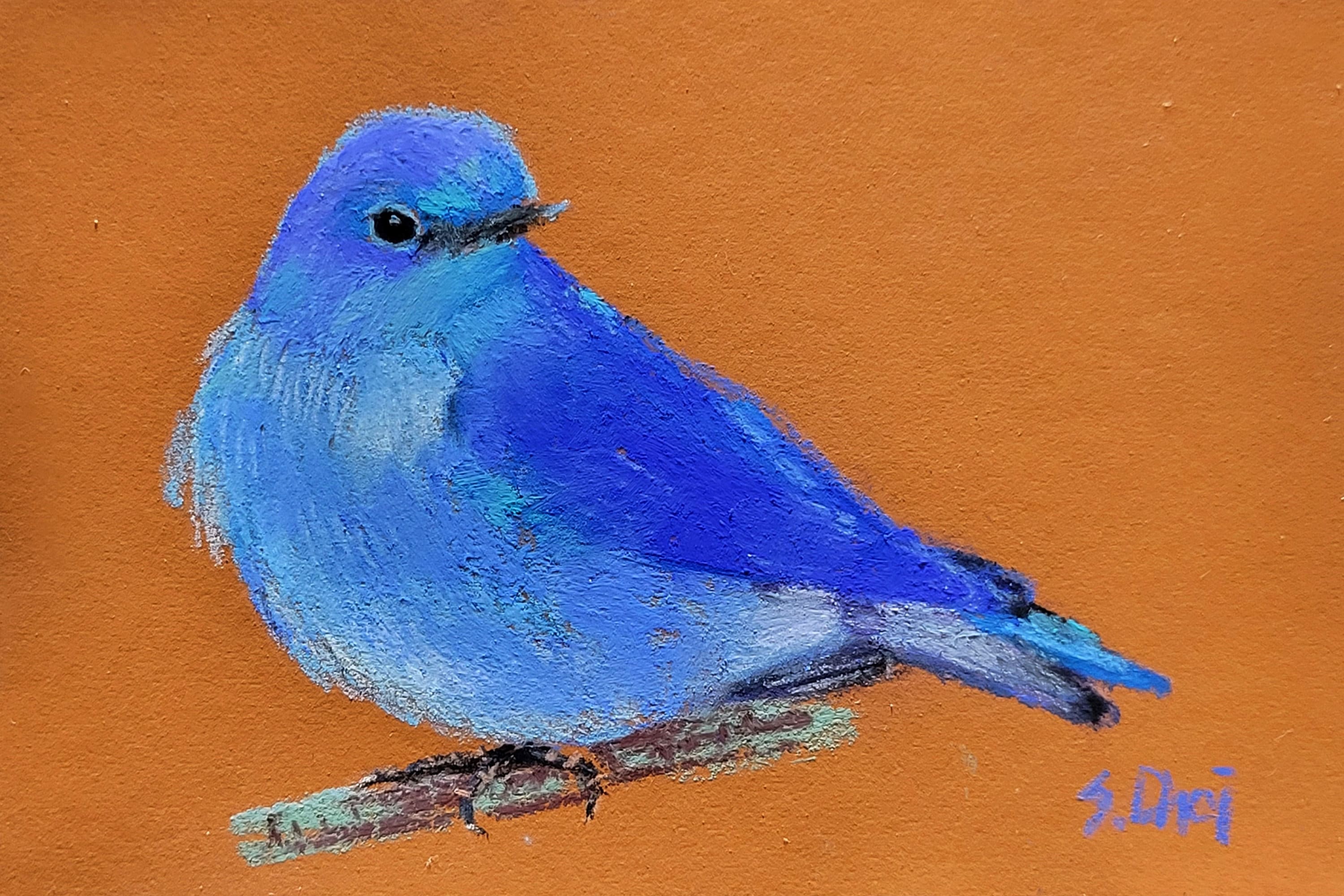 Mountain Bluebird, Original Pastel Bird Painting 4x6 Inches, Framed - Etsy