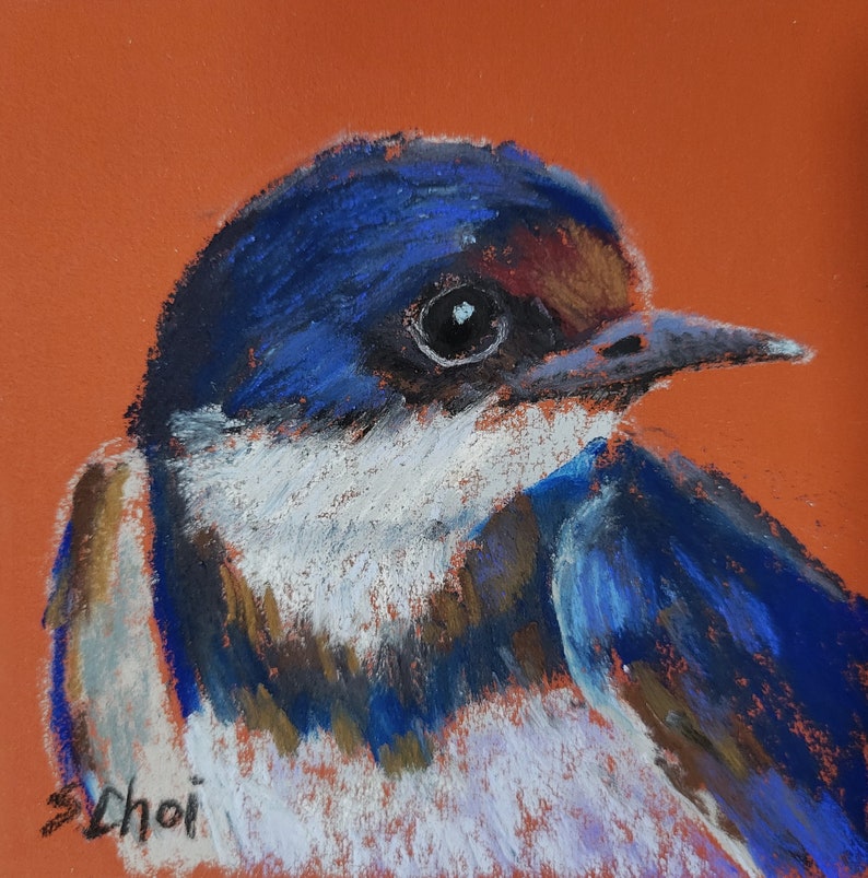 Barn Swallow Portrait Original Pastel Bird Painting 4x4 - Etsy