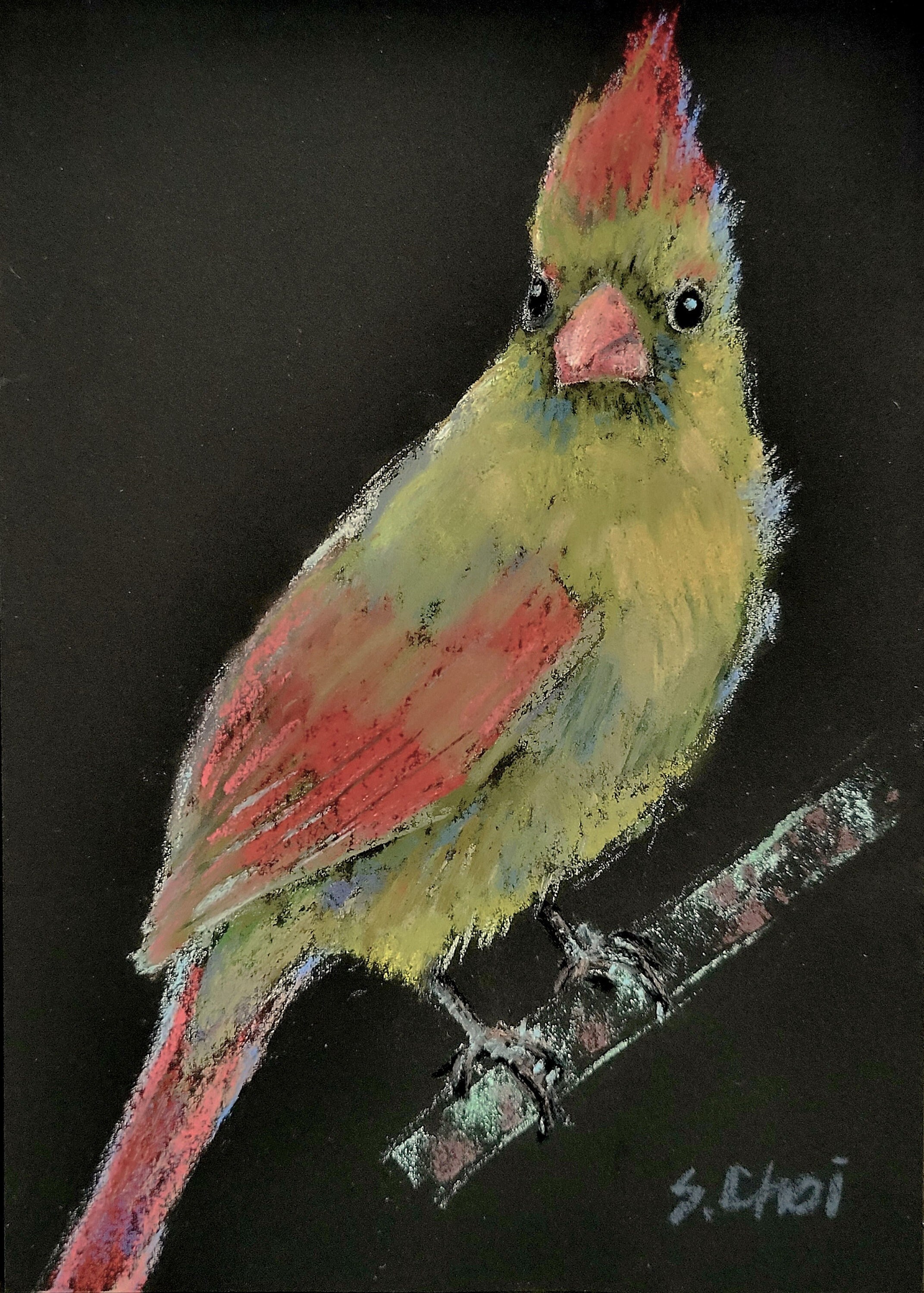 Female Red Cardinal, Original Pastel Bird Painting, 5x7 Inches, Framed ...