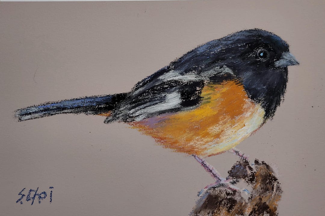 Eastern Towhee, Original Pastel Bird Painting 6x4 Inches, Framed - Etsy