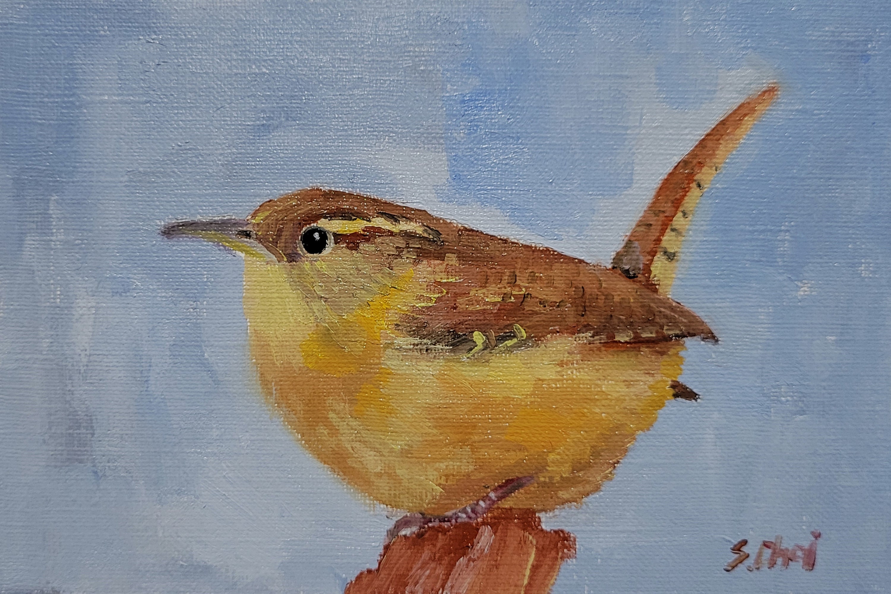 Caroline Wren, Original Bird Oil Painting on Paper, 4x6 Inch, Unframed ...