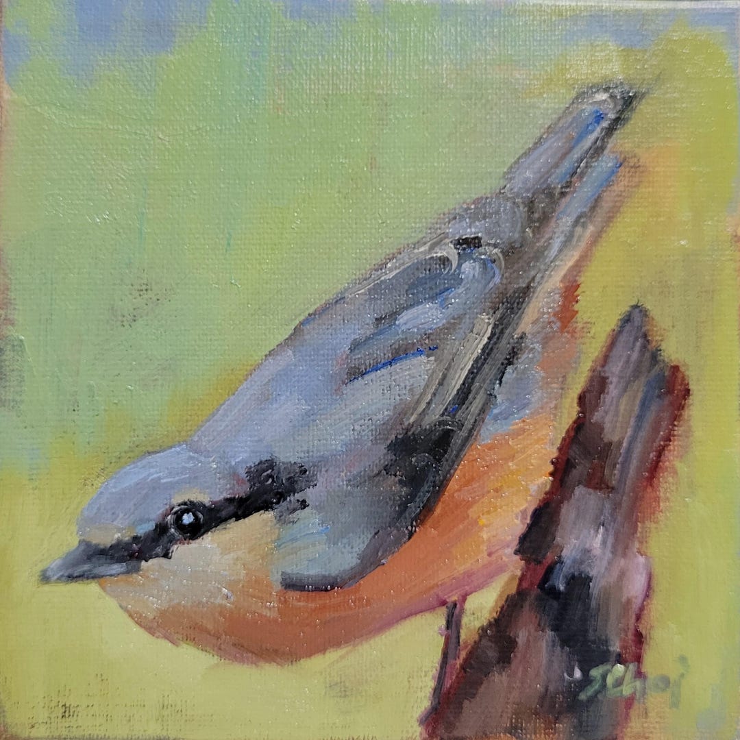 Red Breasted Nuthatch, Original Bird Oil Painting, 4x4 In. Unframed - Etsy