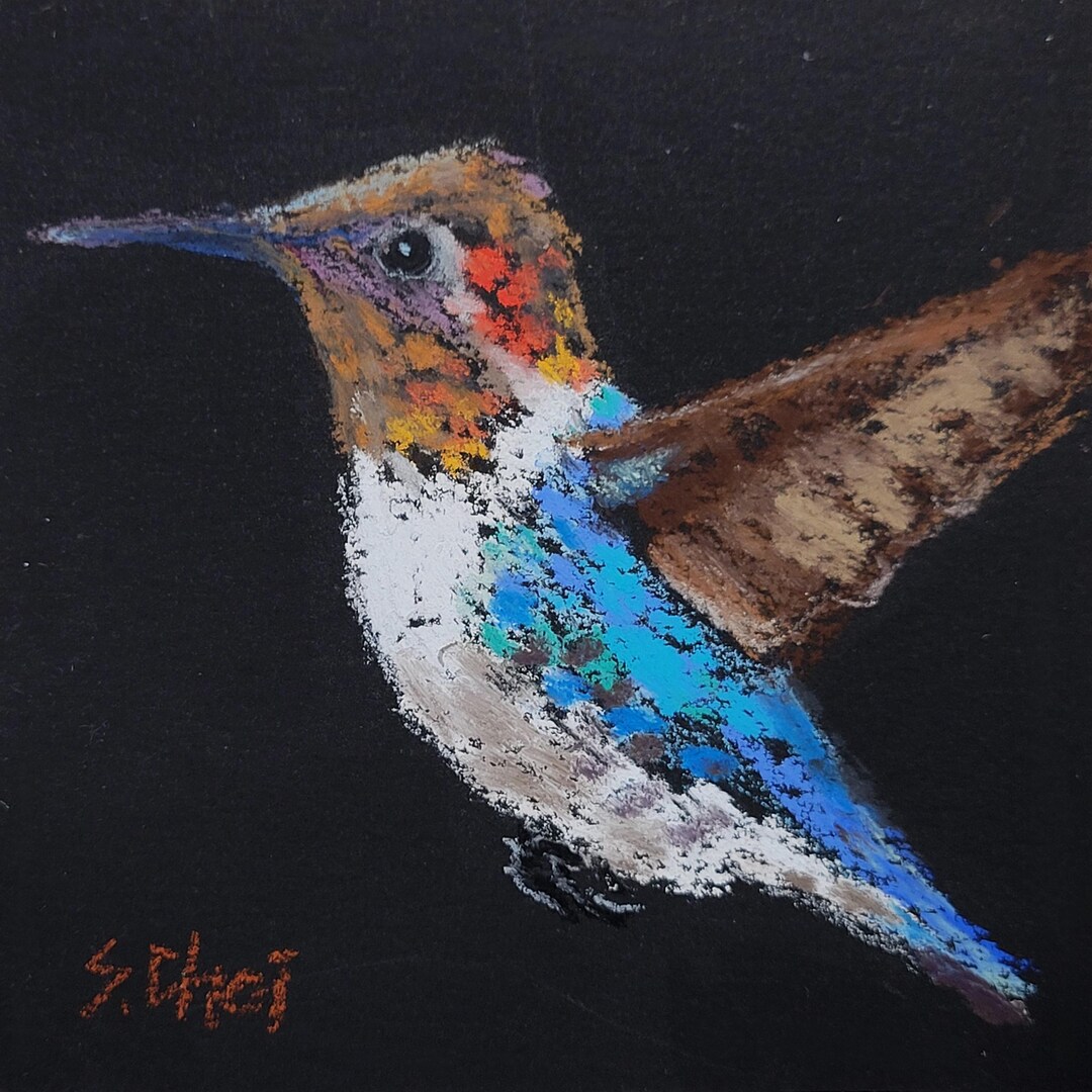Hummingbird, Original Birds Pastel Painting, 4x4 Inch Framed - Etsy