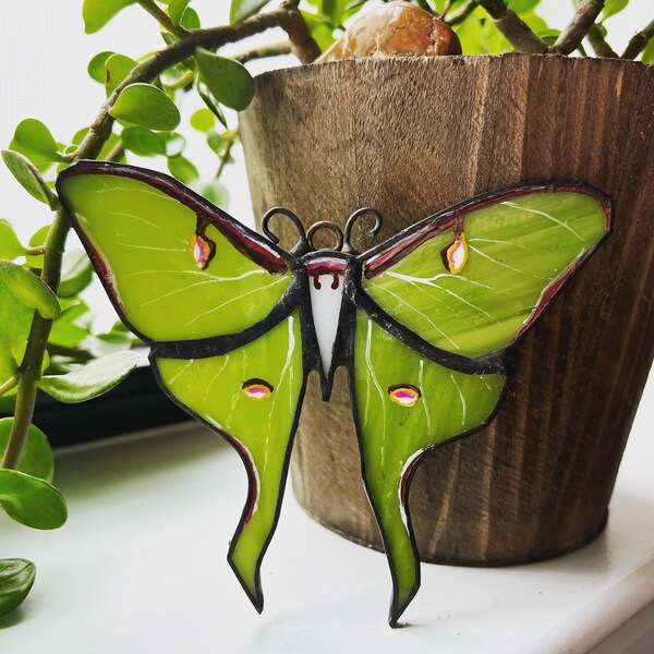 Stained Glass Moth - Etsy