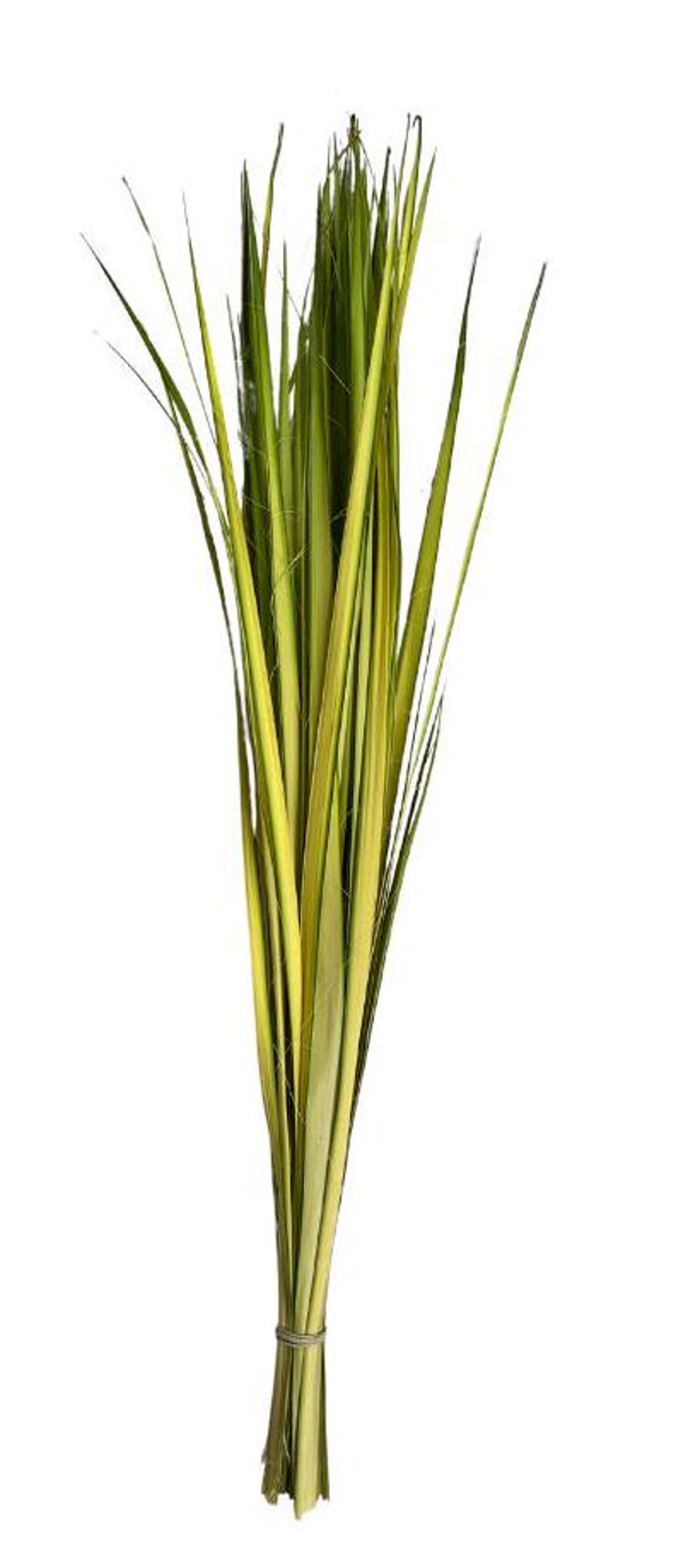 Palm Strips | Palm Sunday | Easter | Crosses | Palms | Church| Sunday ...