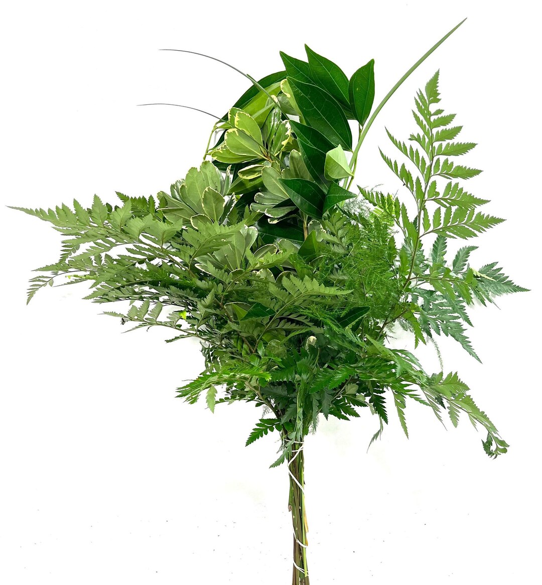 Cocculus Mix | Bouquet | Flower Arrangement | Fresh Foliage | Wedding ...