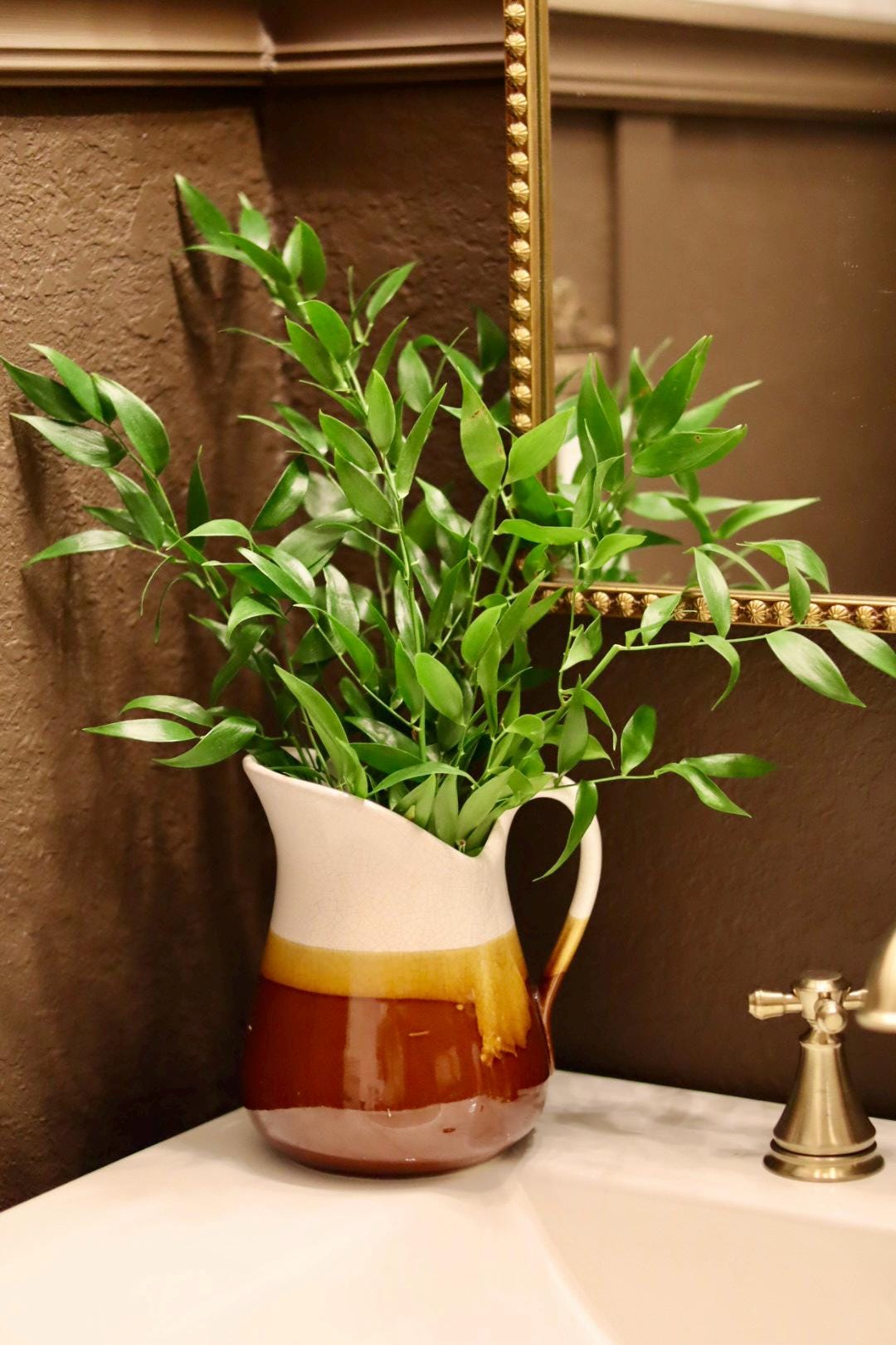 Fresh Italian Ruscus Greenery Bunch – Elegant Wedding Foliage for ...