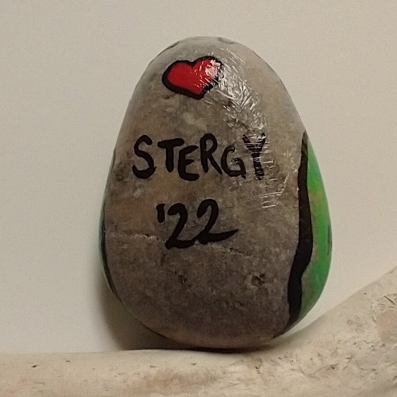 Stergy's Rock Buddies - Unique Painted Rock Gifts - Etsy