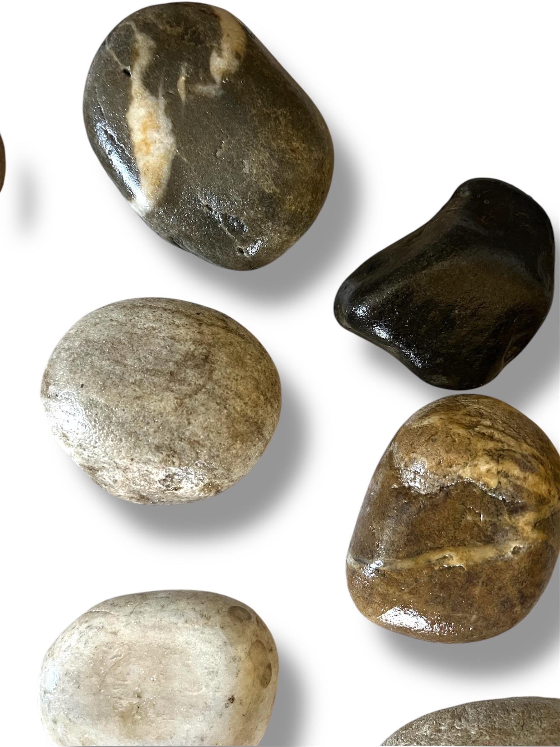 Hand Foraged Stones, Gemstones, Jasper, Quartz, Agate, Diorite, Gneiss ...