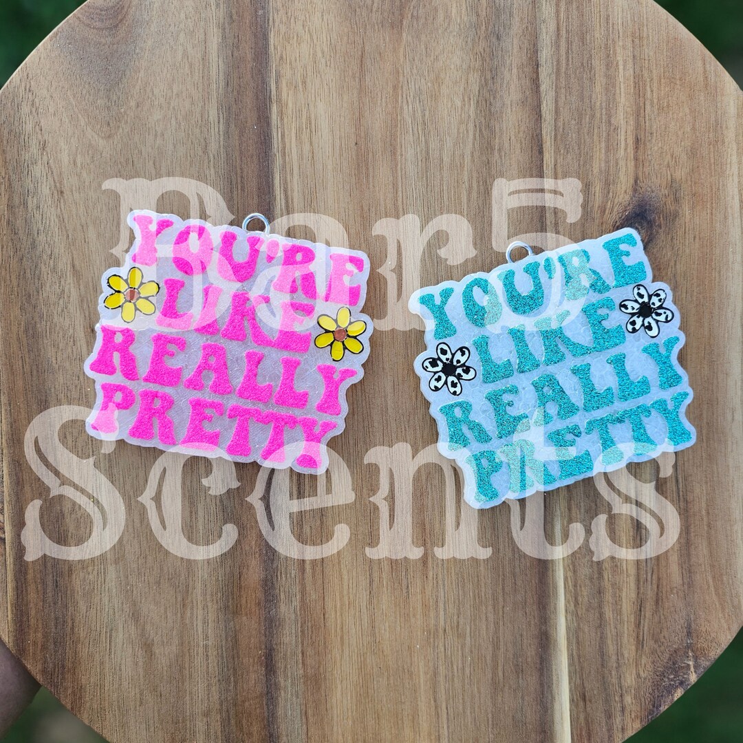 Youre Really Pretty Freshie/ Carfreshie /really Pretty Freshie/ Retro Freshies / Cute Pretty ...