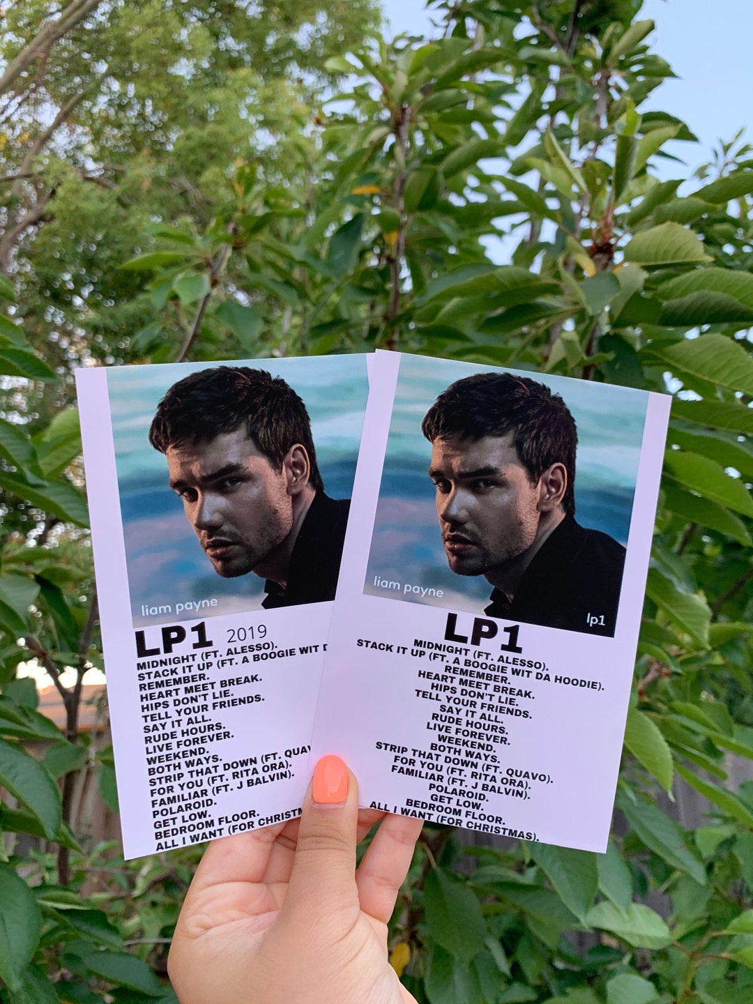 Liam Payne Album Poster Prints LP1 - Etsy