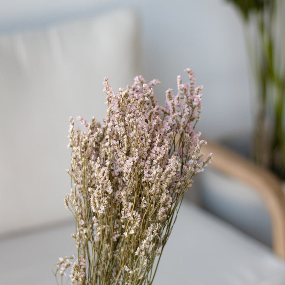 Getrockneter Limonium Diamond in Rose 50g, 60cm - Etsy