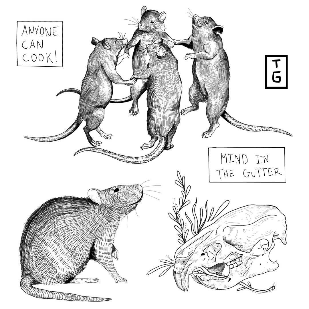 Flash Sheet RODENT - Etsy