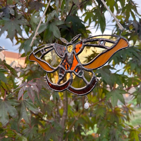 Stained Glass Moth - Etsy