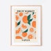 Fruit Market Naples Oranges Botanical Art Print | Spring Citrus Fruit ...