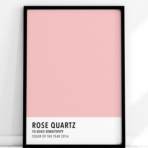 Rose Quartz Poster Pastel Pink Color Card Art Print | Color Palette ...