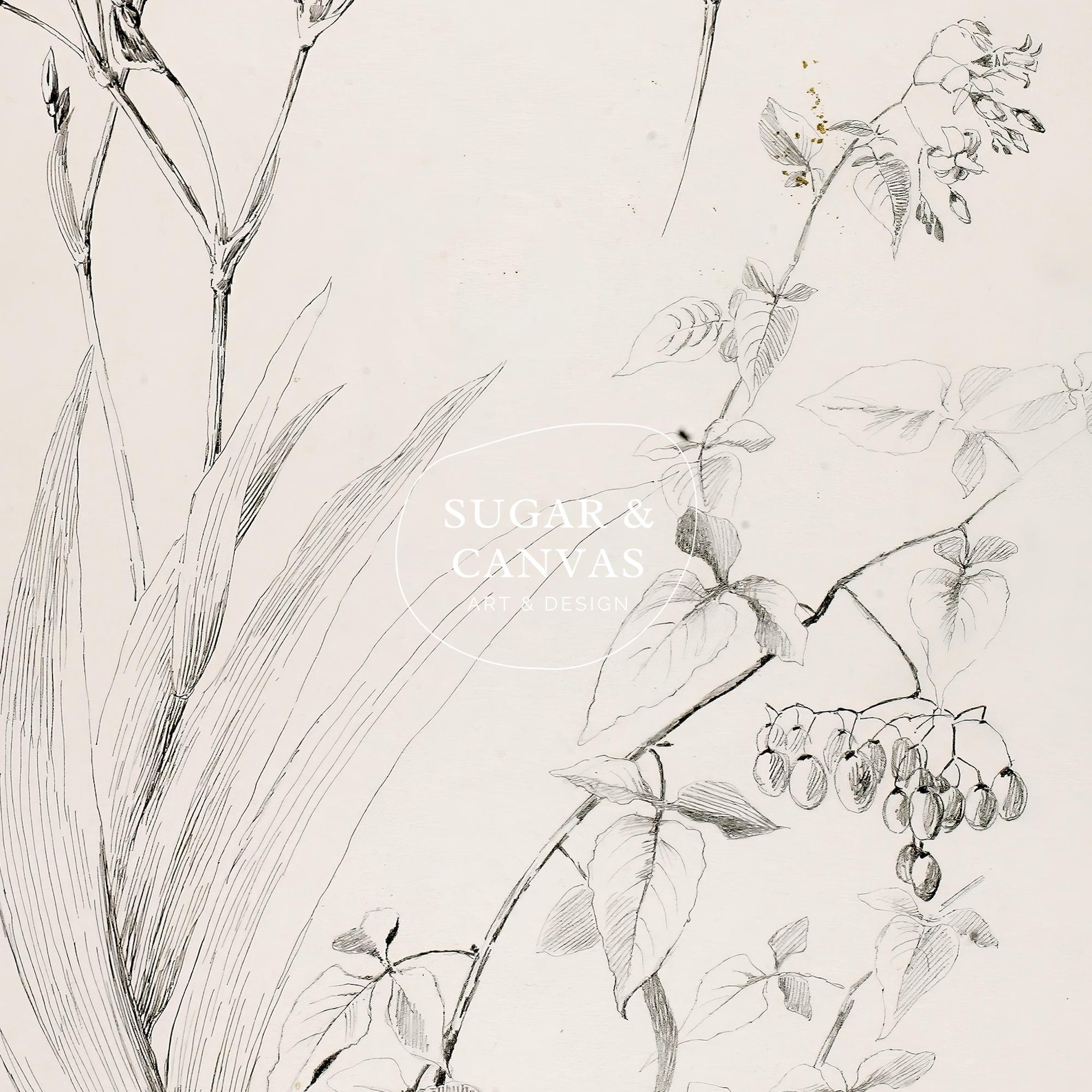 Vintage Botanical Flower Foliage Drawing Still Life Wall Art Print ...