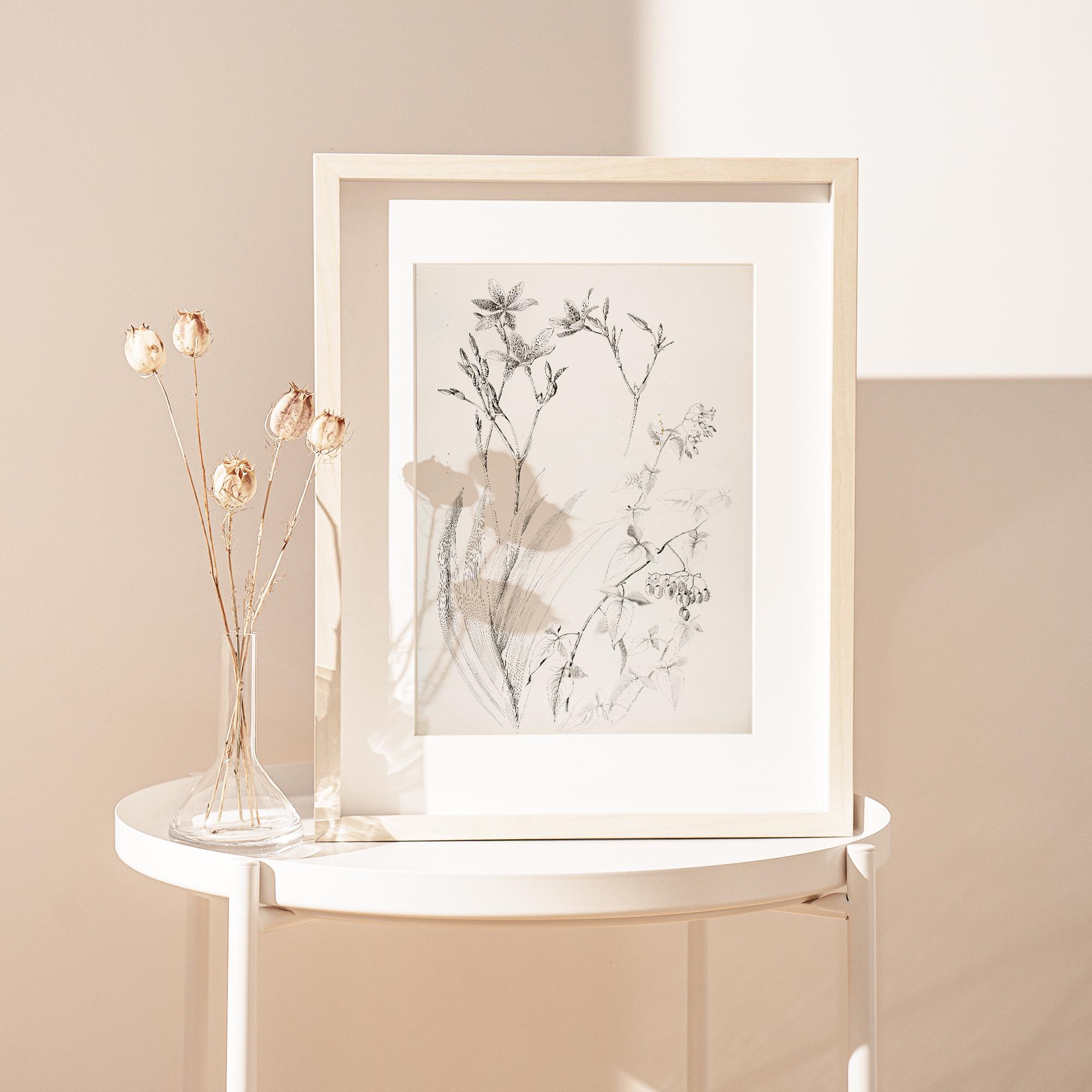 Vintage Botanical Flower Foliage Drawing Still Life Wall Art Print ...