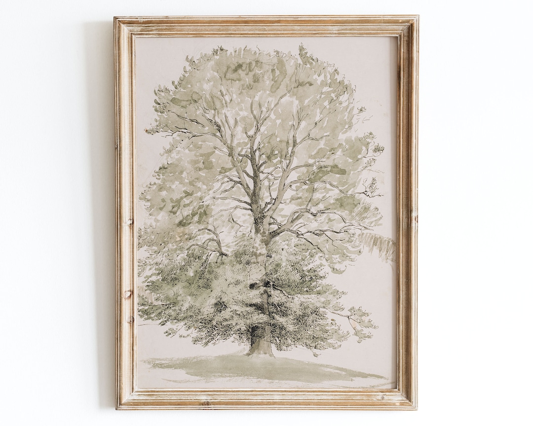 Vintage Tree Sketch Watercolor Art Print, Rustic European Vintage Art ...