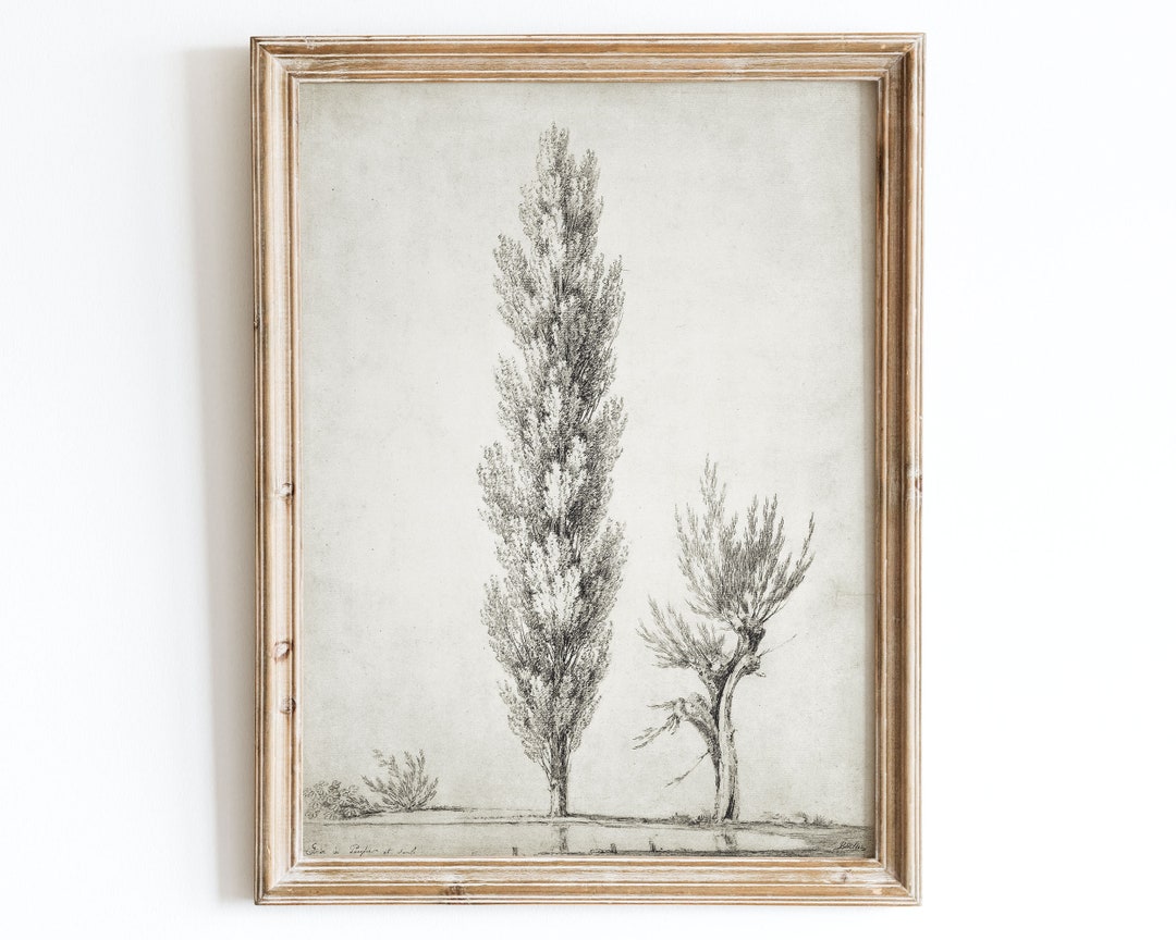Vintage Tree Sketch Art Print, Rustic Vintage Art Print, Vintage Tree ...
