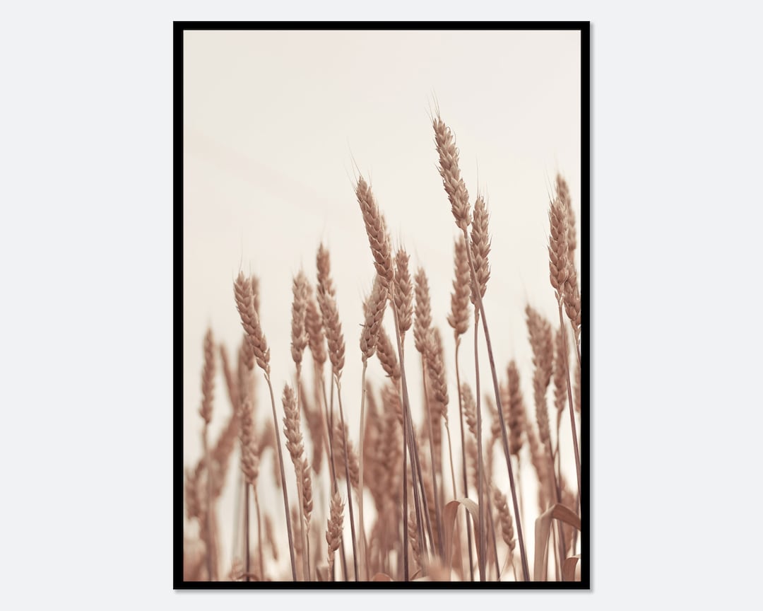 Wheat Reed Plant Nature Photography Art Print | Botanical Art, Reed ...