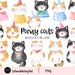 Watercolor Party Cat Clipart Birthday Clipart Party Clipart Cat Clipart ...