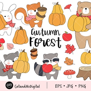 Autumn Animal Forest Clipart Woodland Png Fall Clipart Forest Animal ...
