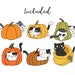 Pumpkin Cat Clipart Fall Clipart Autumn Clipart Animal Fall - Etsy