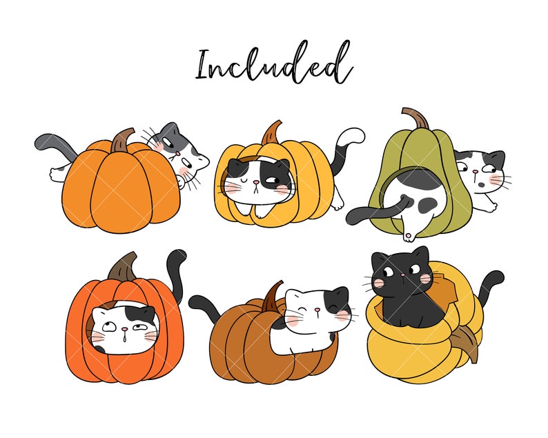 Pumpkin Cat Clipart Fall Clipart Autumn Clipart Animal Fall - Etsy