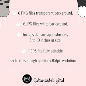 Daisy Cat Clipart Cat Clipart Spring Clipart Funny Cats Flower Clipart ...