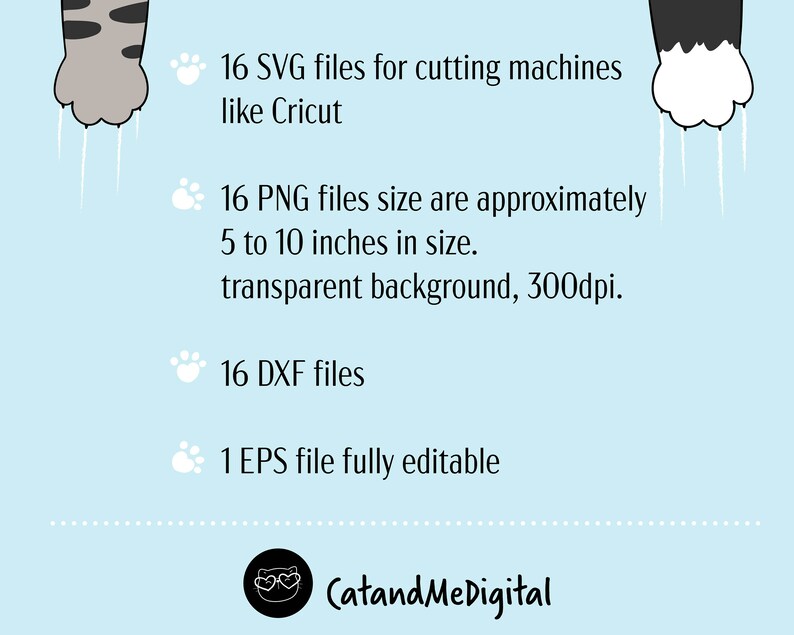 Bear Summer Camp Svg Outline Woodland Svg Summer Png Happy | Etsy