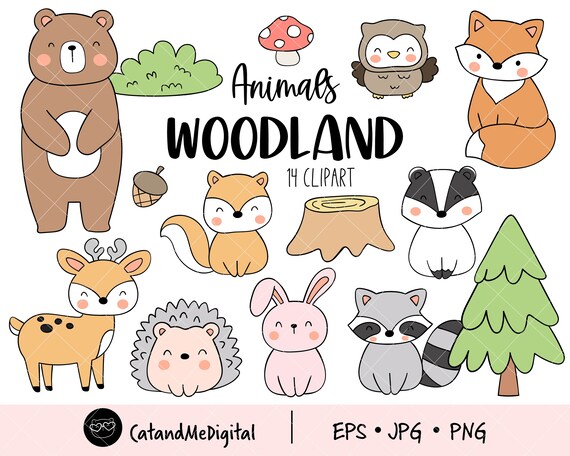 Woodland Animal Clipart Animal Clipart Forest Animal Clip Art - Etsy