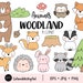 Woodland Animal Clipart Animal Clipart Forest Animal Clip Art Woodland ...