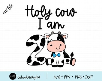 Cow Number Two Birthday Svg 2nd Birthday Svg Cow Print Svg Birthday ...