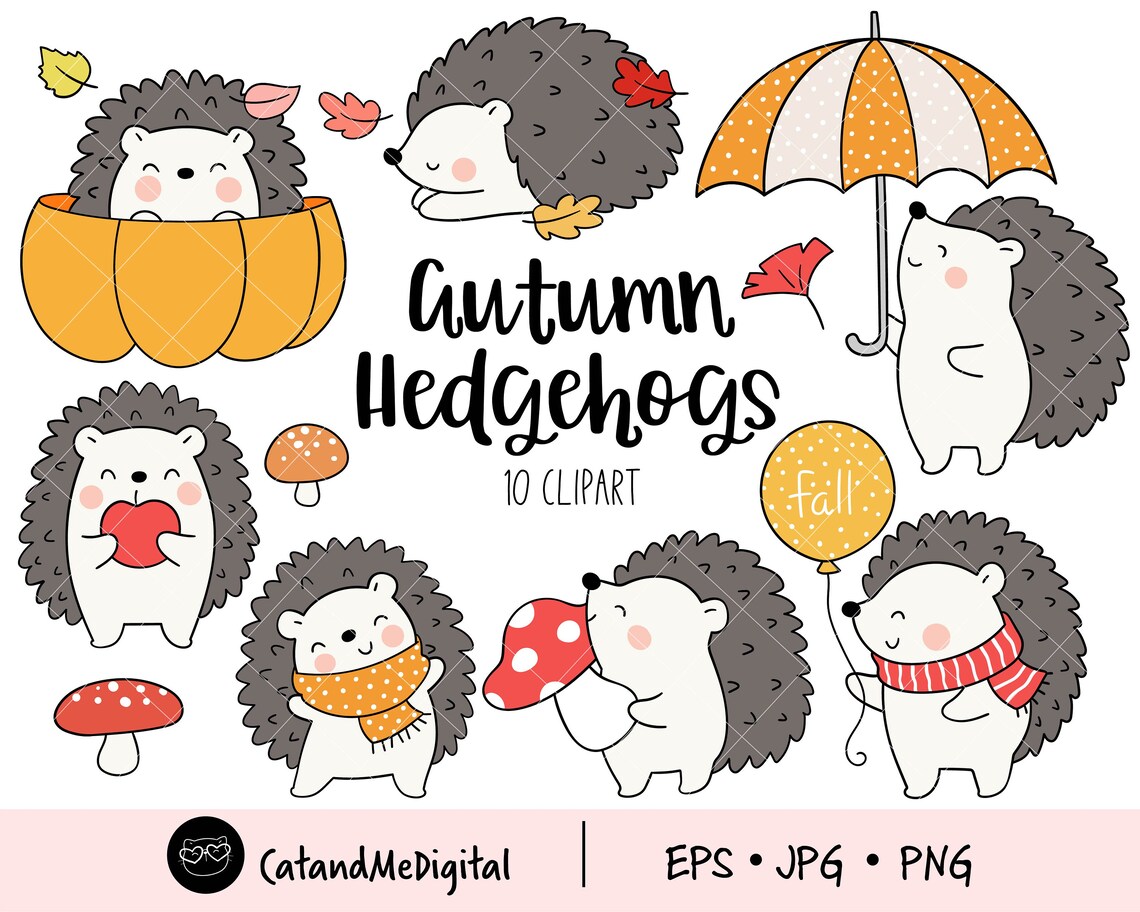 Hedgehogs Cliparts Hedgehogs Png Autumn Clipart Animal Clipart Woodland ...