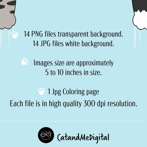 Summer Penguin Digital Stamp Beach Penguin Clipart Summer Line Art ...