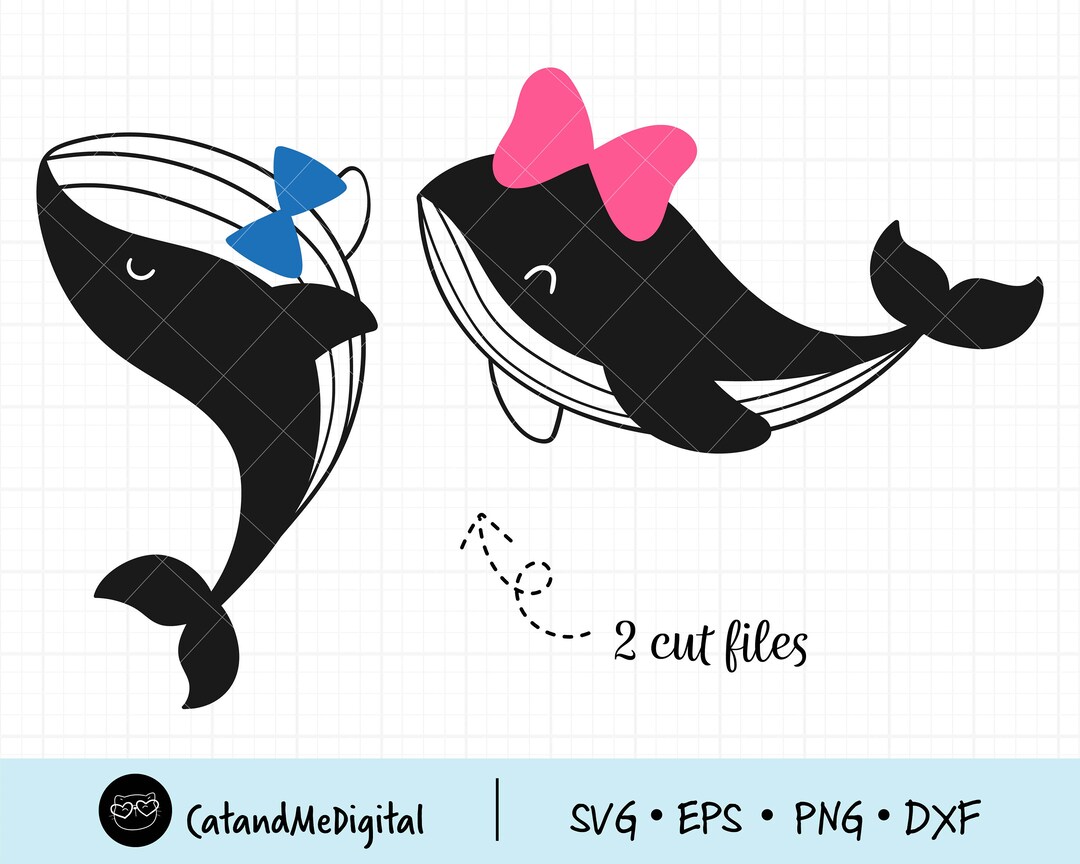 Cute Whale Svg Whale for Girls and Boy Sea Animal Cut Files Whale Clip ...