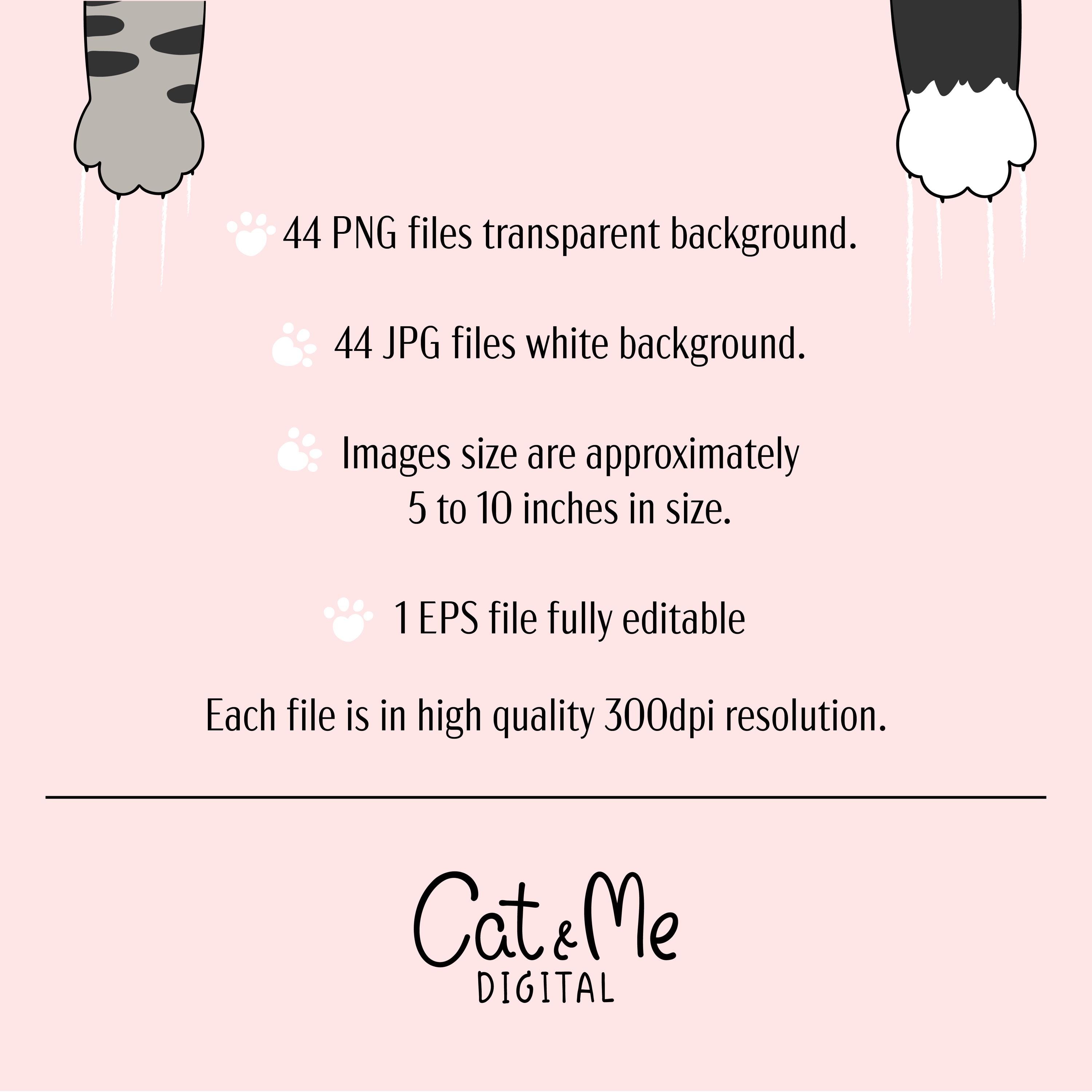 Groovy Thanksgiving Clipart Thanksgiving Day Png Retro Fall Autumn ...