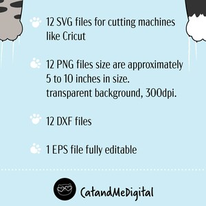 Animal Faces Svg Animal Faces Clipart Jungle Animals Face Cut File ...