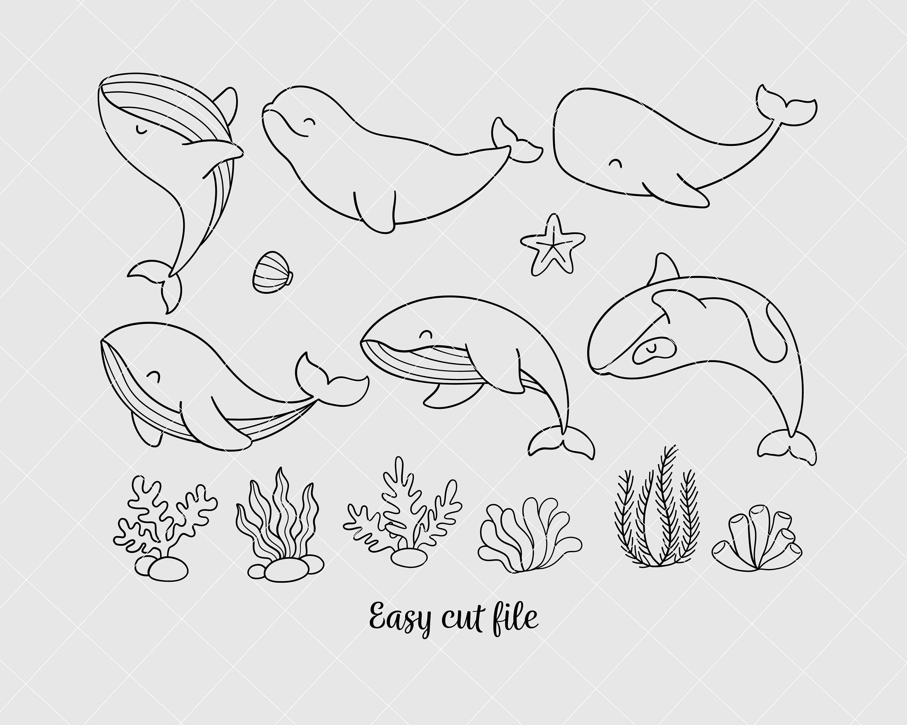 Wal svg Wal Clipart Meer Tier Cut Datei Ozean Tier Wal - Etsy