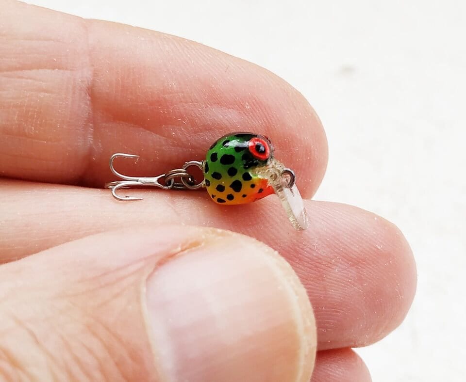 World's Smallest Wooden Super Ultra Light Fishing Lure 6 Mm 0.24 Inch ...