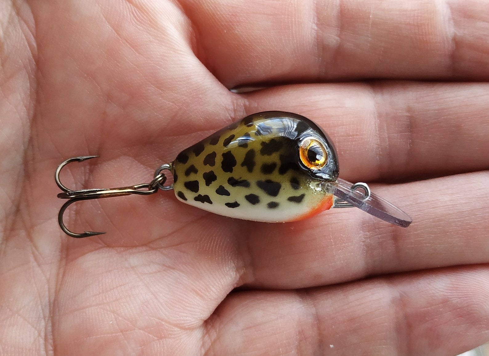 Custom Wooden Handmade Chubby Crankbait | Etsy