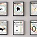 Literary Devices Classroom Posters: ELA Anchor Charts (digital Download ...